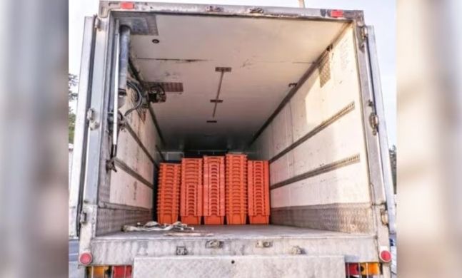 '냉동트럭 화물칸' 타고 퇴근길…女노동자 8명 '사망'